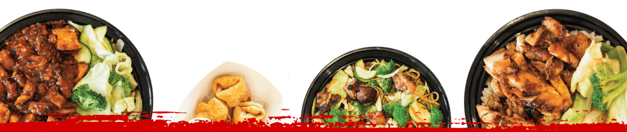 The TMAD Franchise Story | Teriyaki Madness Franchise